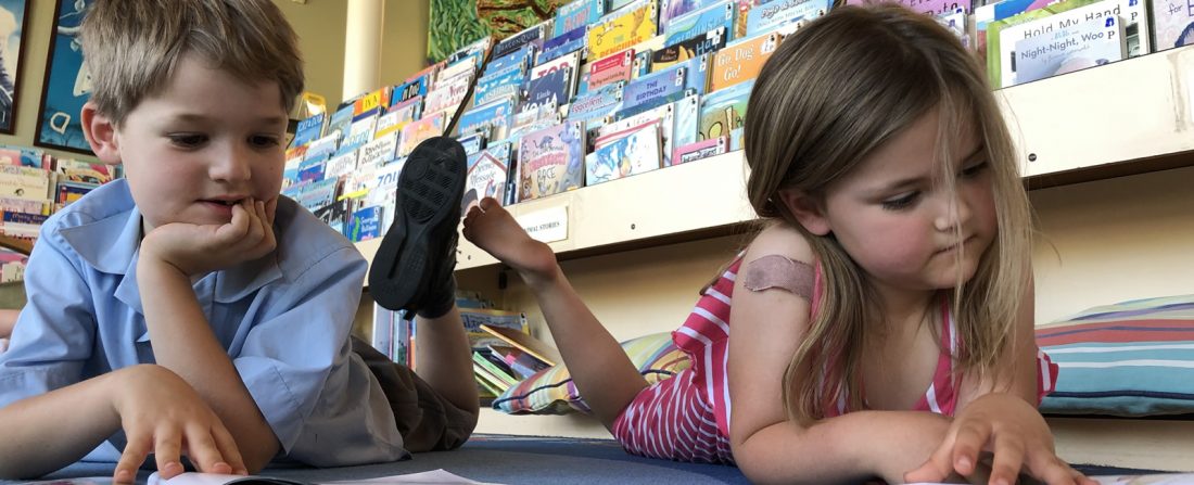 Avalon Community Library | Avalon Beach Library